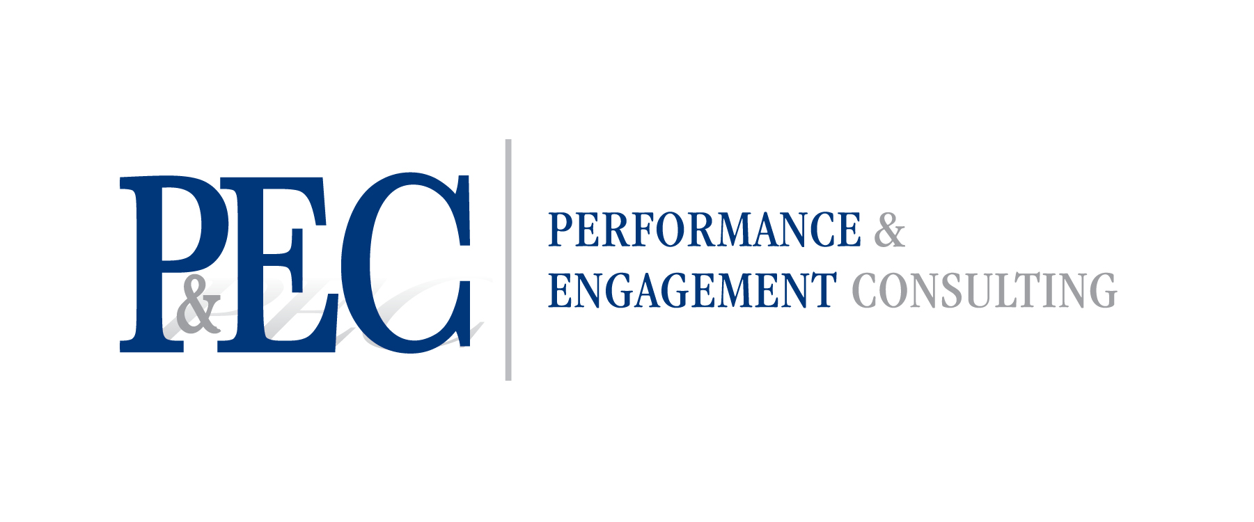 Performance & Engagement Consulting | Everything Disc