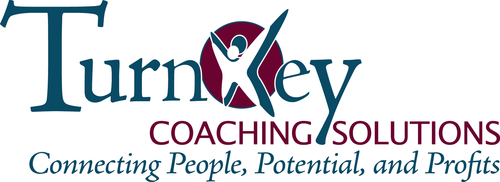 Turnkey Coaching & Development Solutions | Everything DiSC