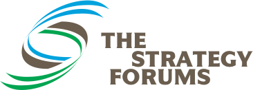 The Strategy Forums | Everything DiSC