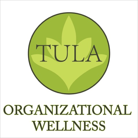 Tula Organizational Wellness | Everything Disc