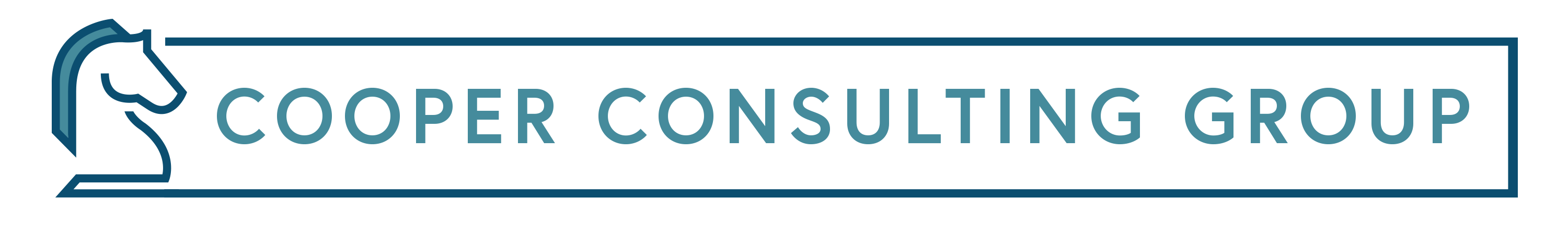 Cooper Consulting Group | Everything Disc