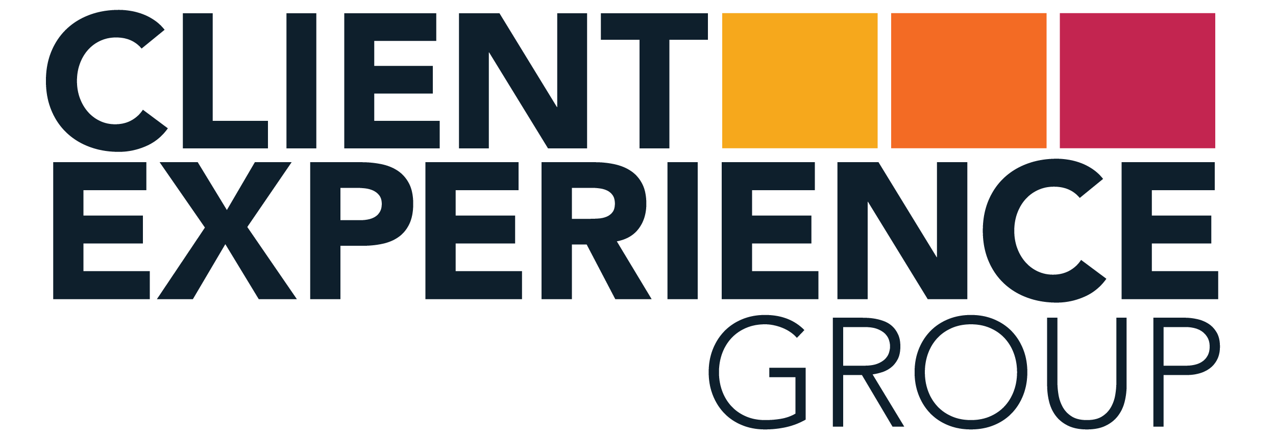 Client Experience Group™ | Everything Disc