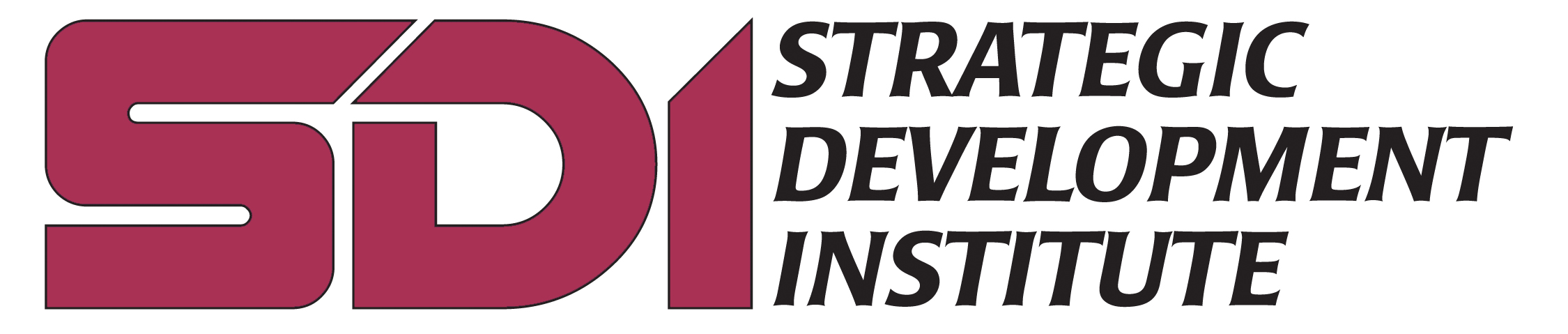Strategic Development Institute | Everything Disc