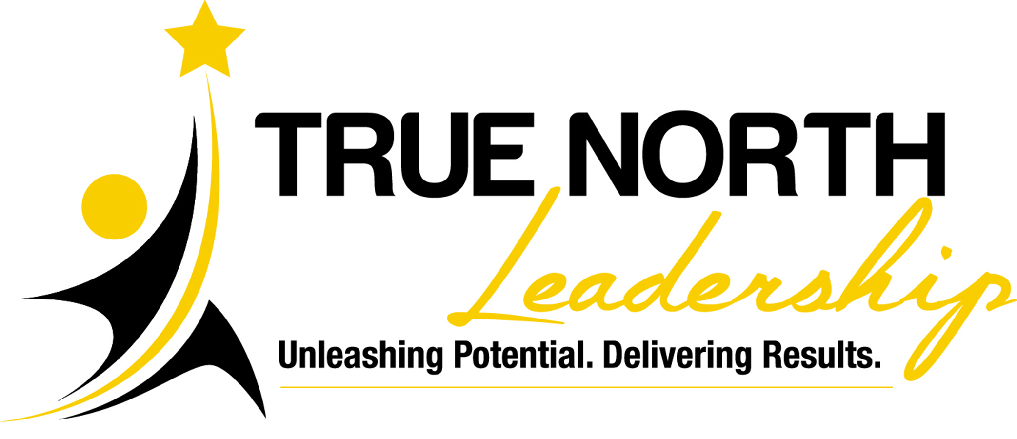True North Leadership | Everything Disc