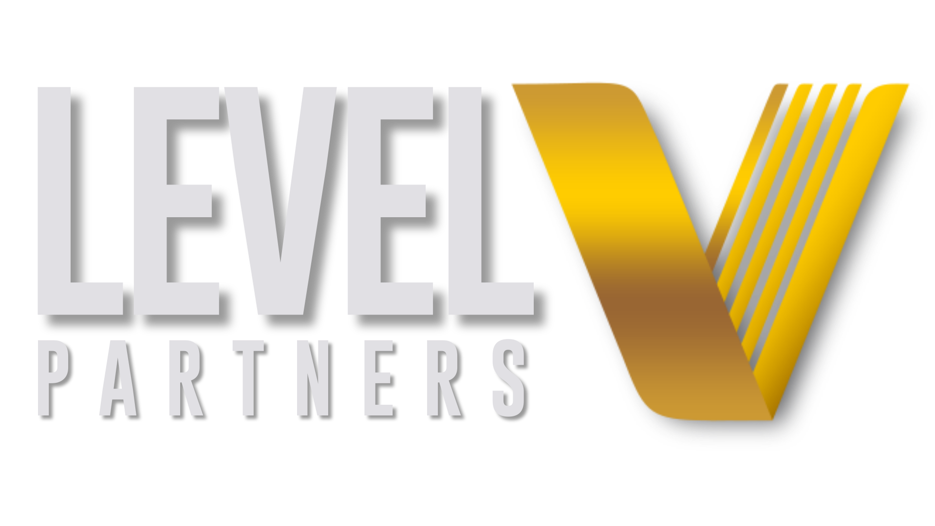 Level V Partners | Everything Disc