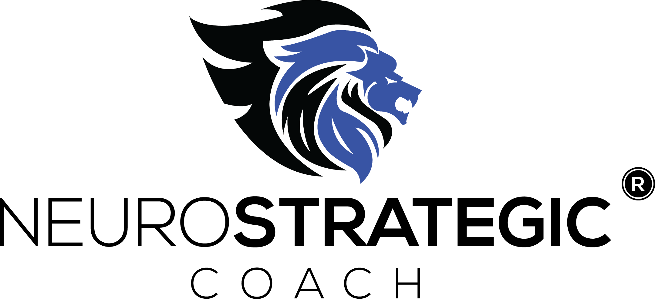 Neuro Strategic Coaching Institute | Everything DiSC