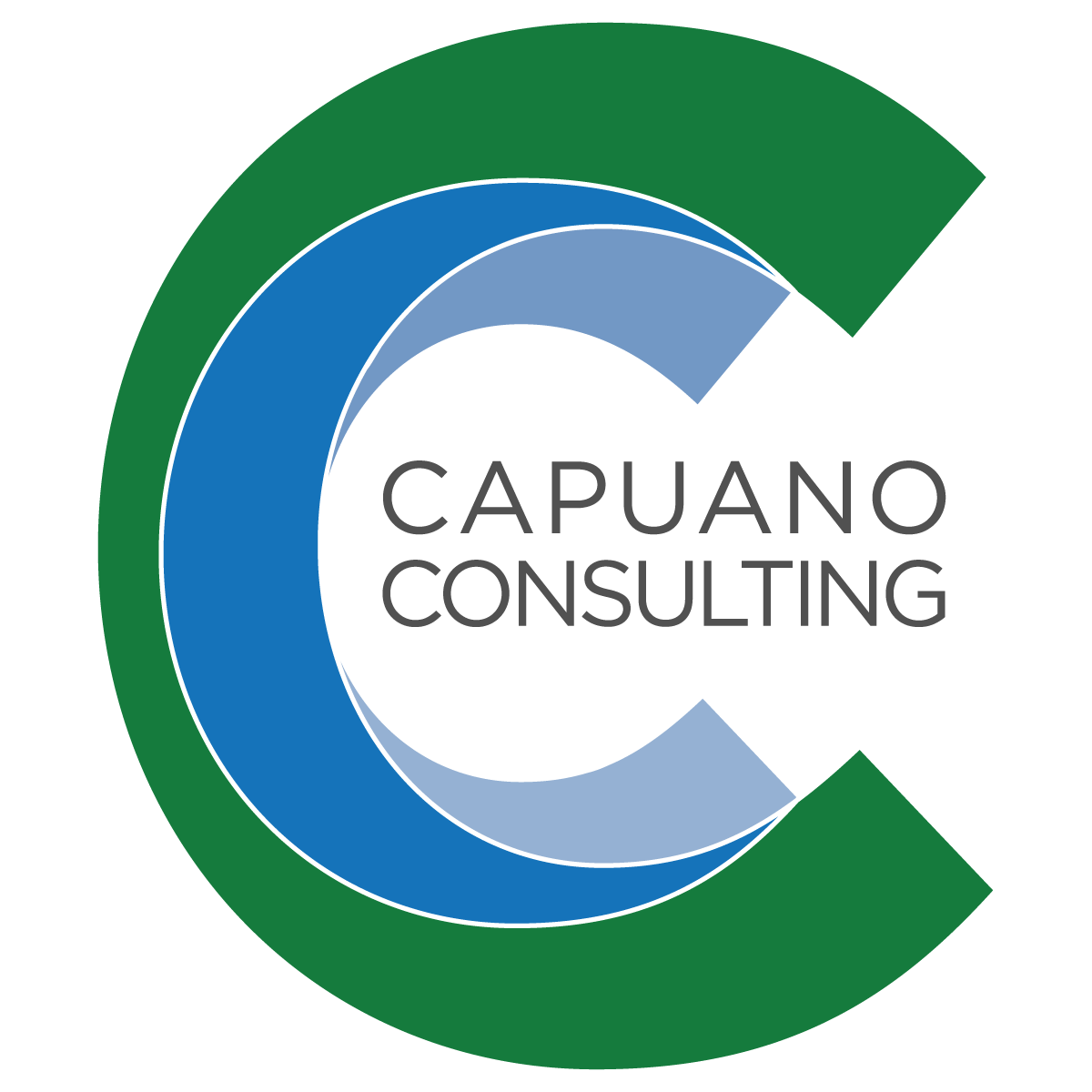 Capuano Consulting | Everything Disc