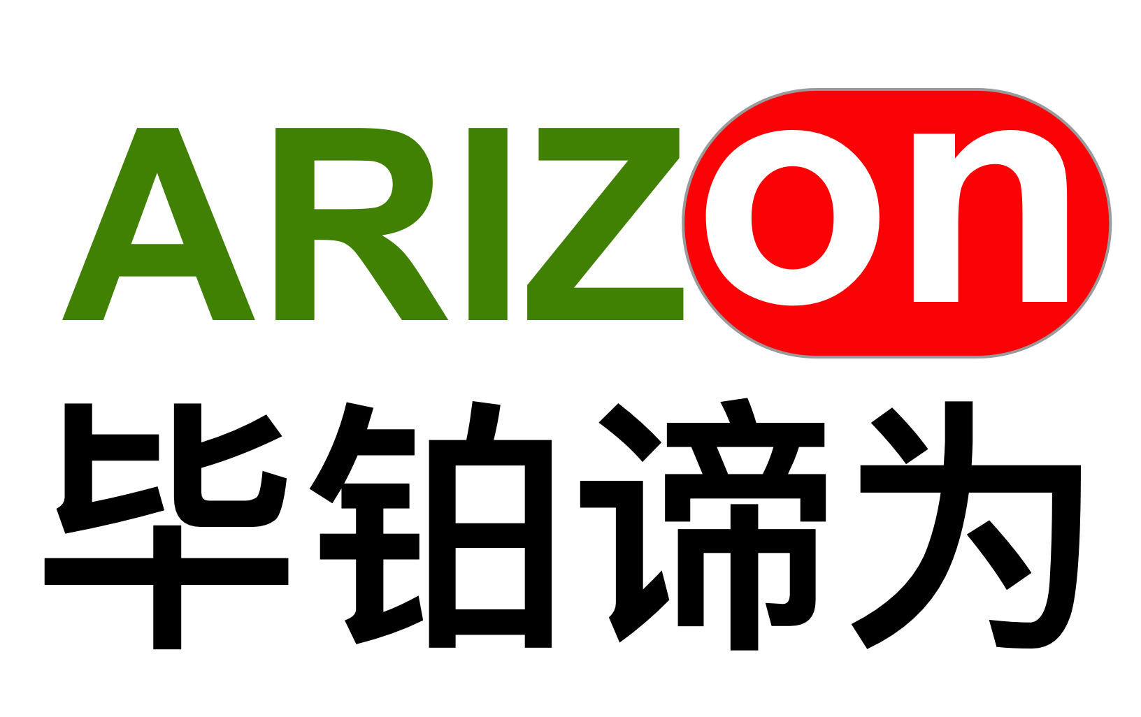 Arizon | Everything Disc