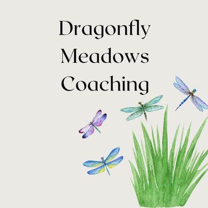 Dragonfly Meadows Coaching | Everything Disc