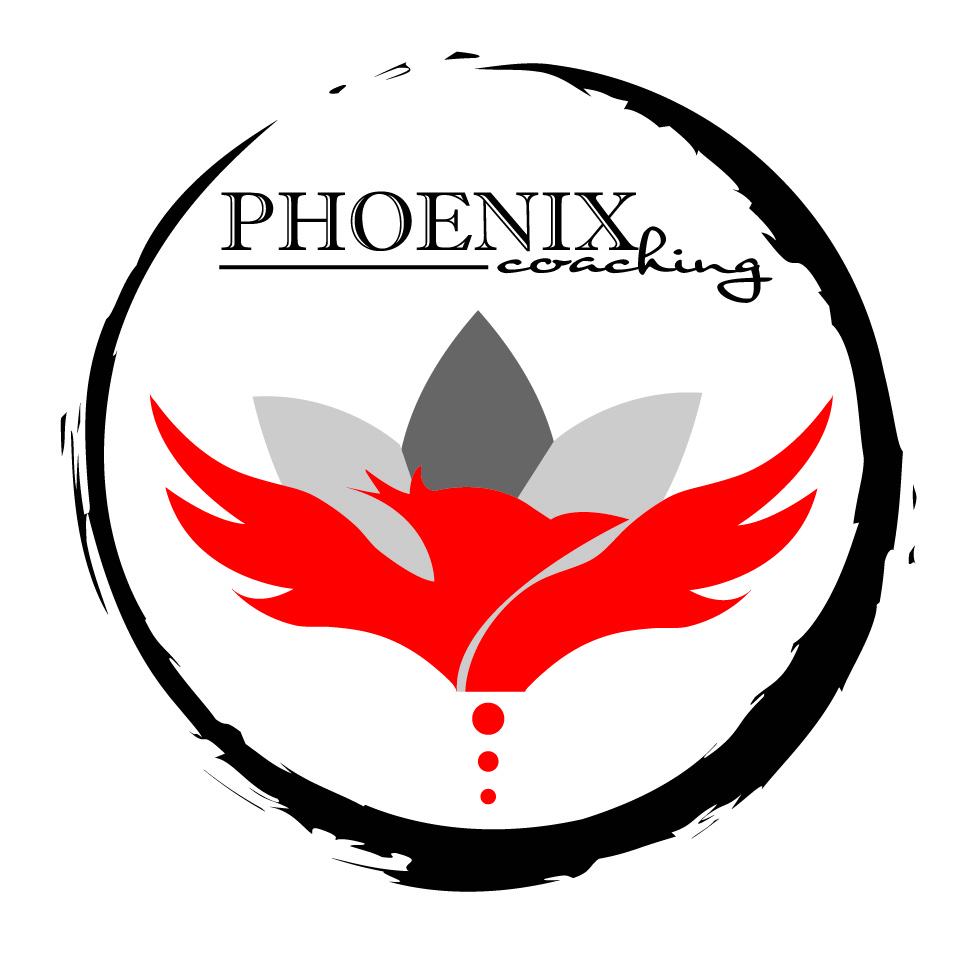 Phoenix Coaching LLC | Everything Disc