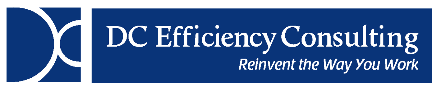 DC Efficiency Consulting | Everything Disc