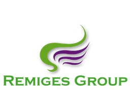 Remiges Group | Everything Disc