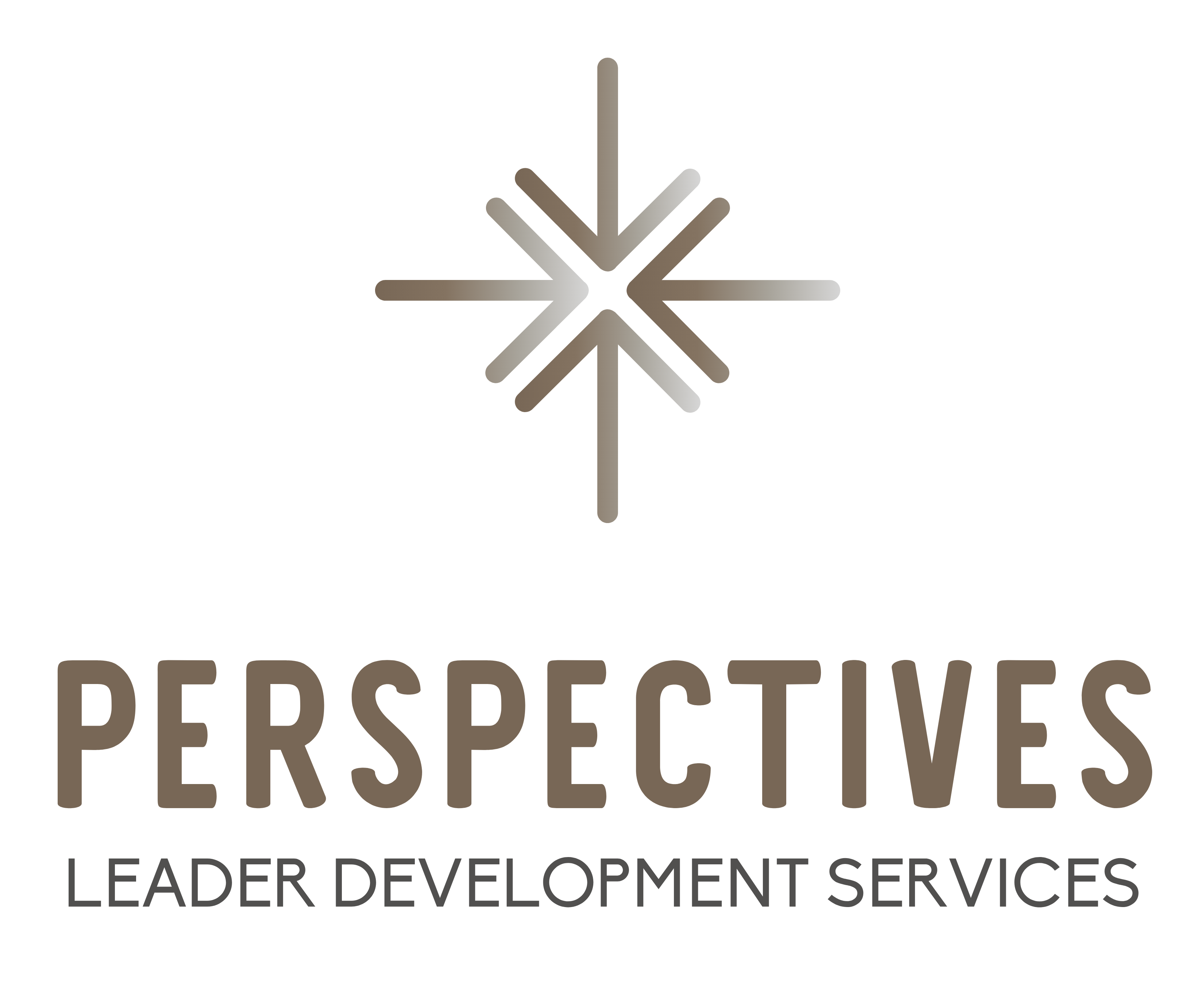 Perspectives Leader Development Services | Everything Disc